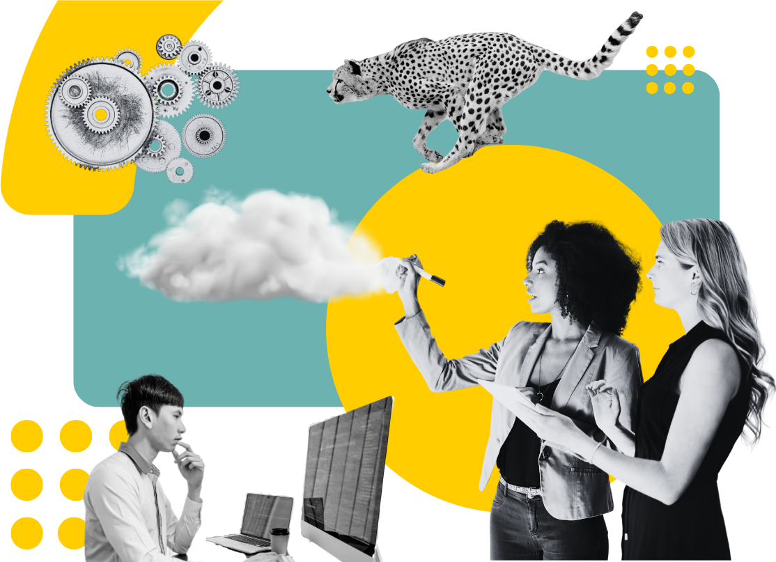 Hoverfly Cloud | The Platform